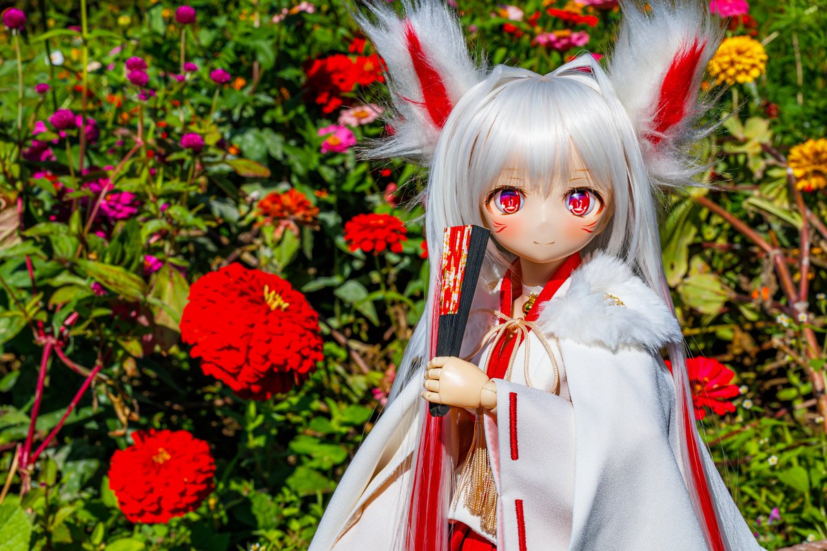 チコイ (@tikoi_doll) さんのモデル作品まとめ (513 件) - Twoucan