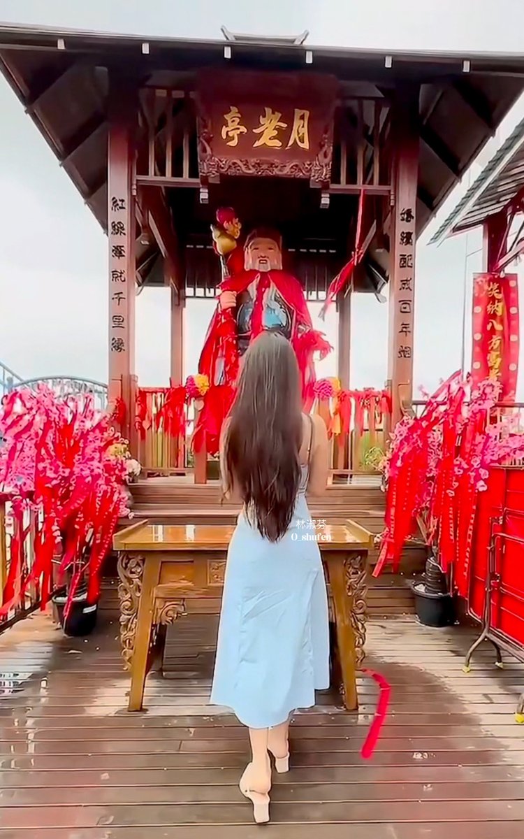 求什麼 Lin Shu Fen @0_shufen