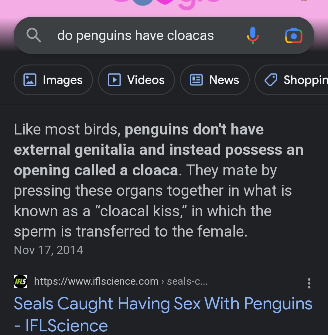 Cloacal Kiss Penguins With
