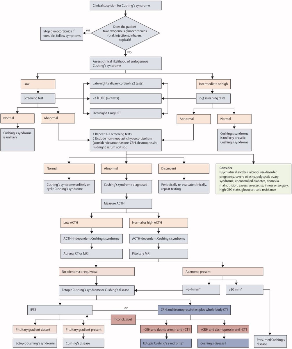 EvelioClaros_hematologo on Twitter: "RT @AmbrizMau: Algoritmo para el diagnóstico del SÍNDROME ...