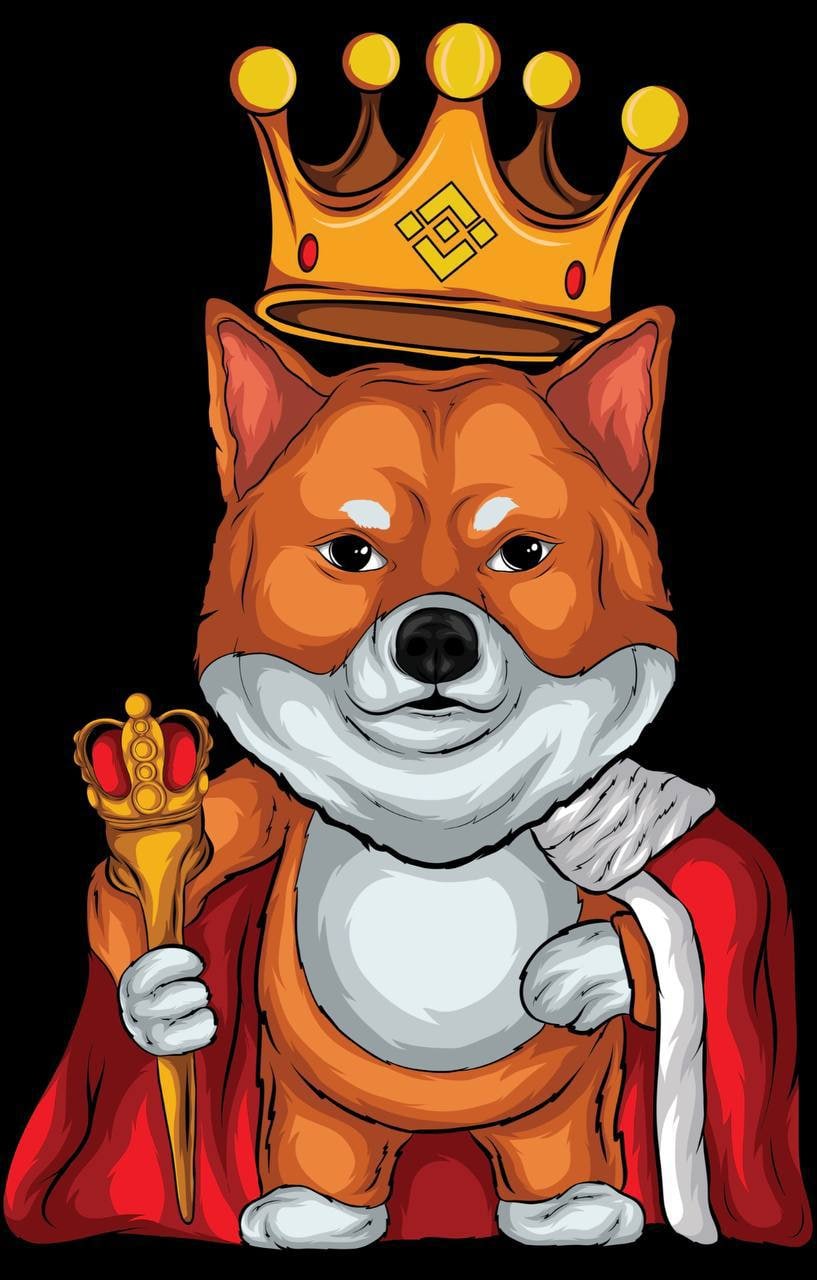 KING SHIBA on Twitter: "@elonmusk Does this make #Floki the #King of all #Shibs?👑 #KingShiba ...