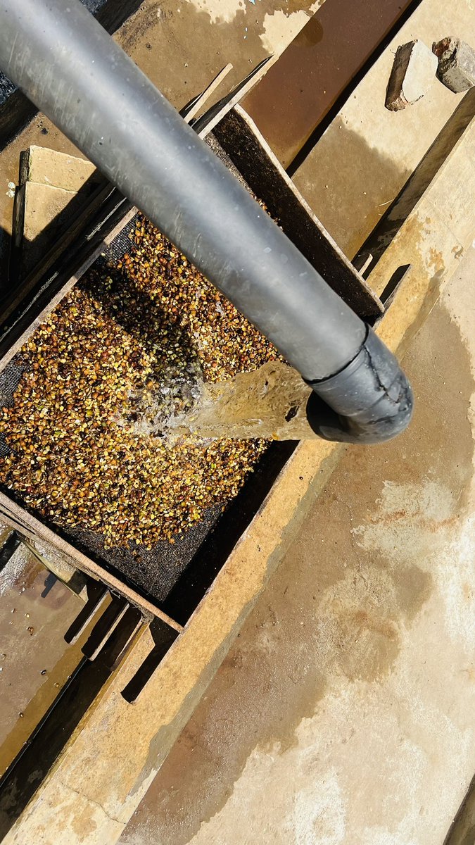 Yesterday I visited Karenge Coffee Washing Station with ...