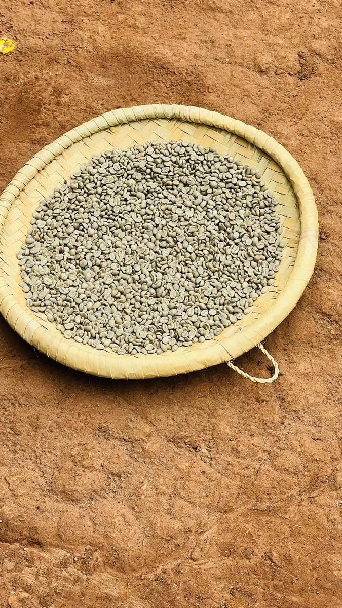 Yesterday I visited Karenge Coffee Washing Station with ...