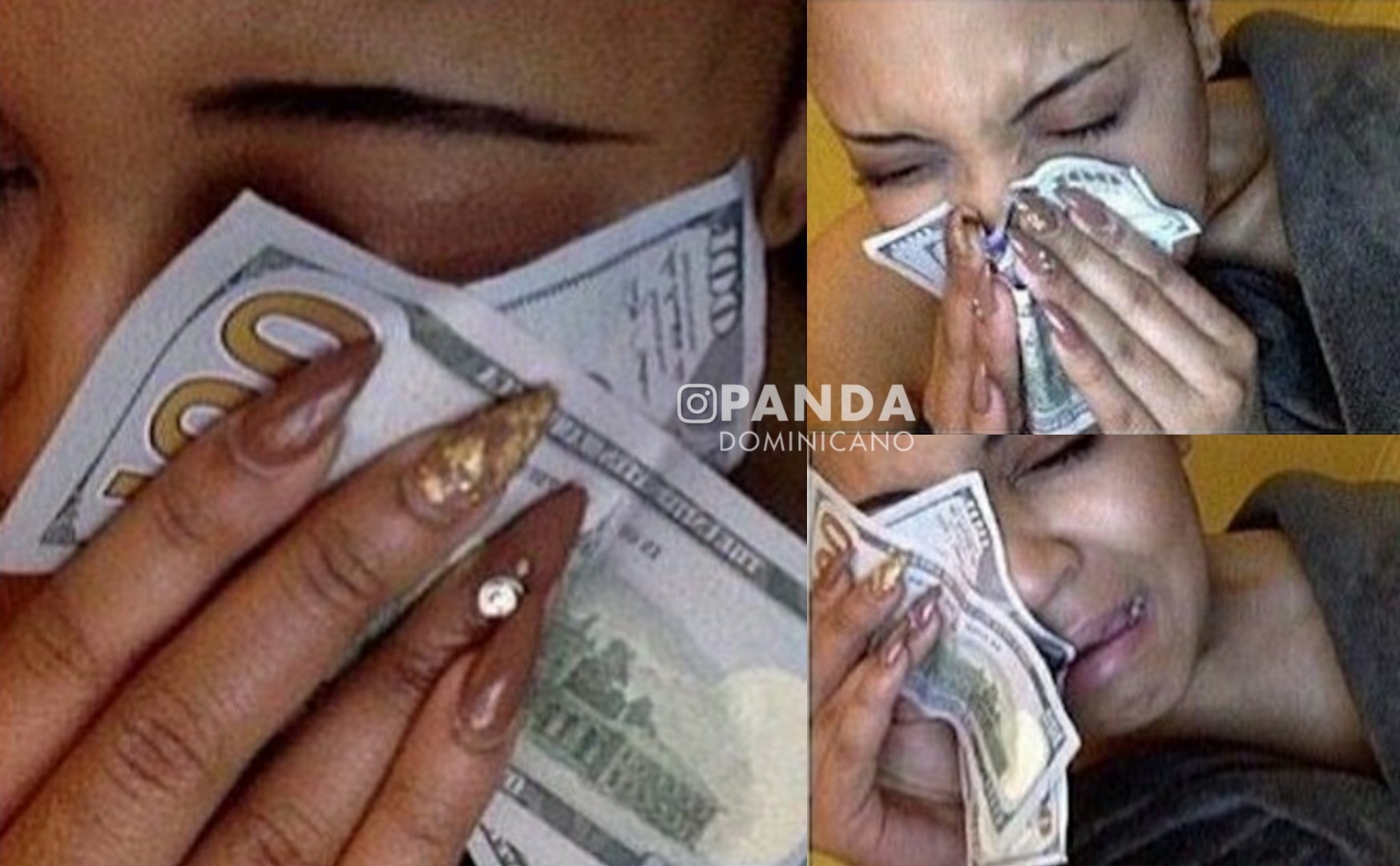 Memes Llora Billetes Woody Woodpecker GIF Auf GIFER Suchen