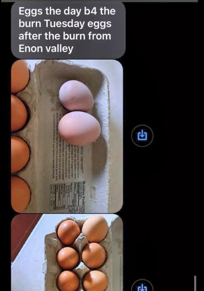 𝗧𝗵𝗲 𝗨𝗺𝗽𝗶𝗿𝗲 on Twitter: "Anyone want some Ohio Eggs?"