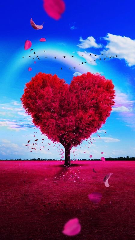 FrasesDeAmor on Twitter: FrasesDeAmor on Twitter: