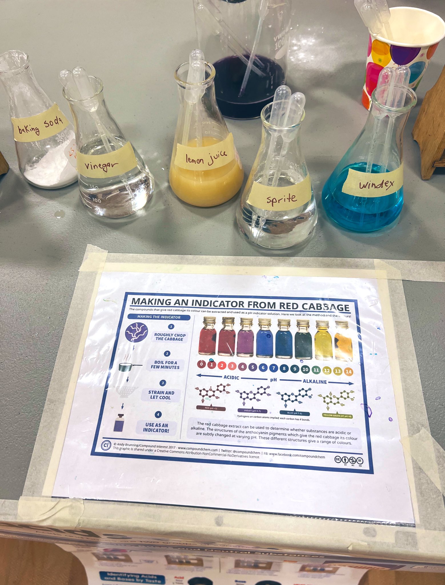 Miss Dritsas on Twitter: "Thank you @NotreDameHCDSB for facilitating ...