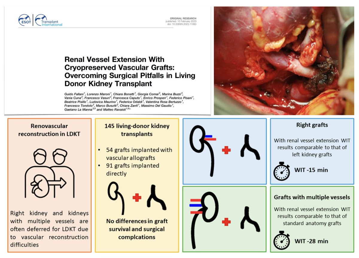 M Velia Antonini on Twitter: "Extension of renal vessels with vascular allografts in living ...