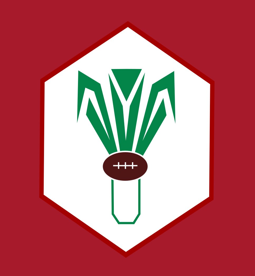 Welsh Rugby Logo Wales Rugby Home Replica Jersey 23/24 | Rebel Sport