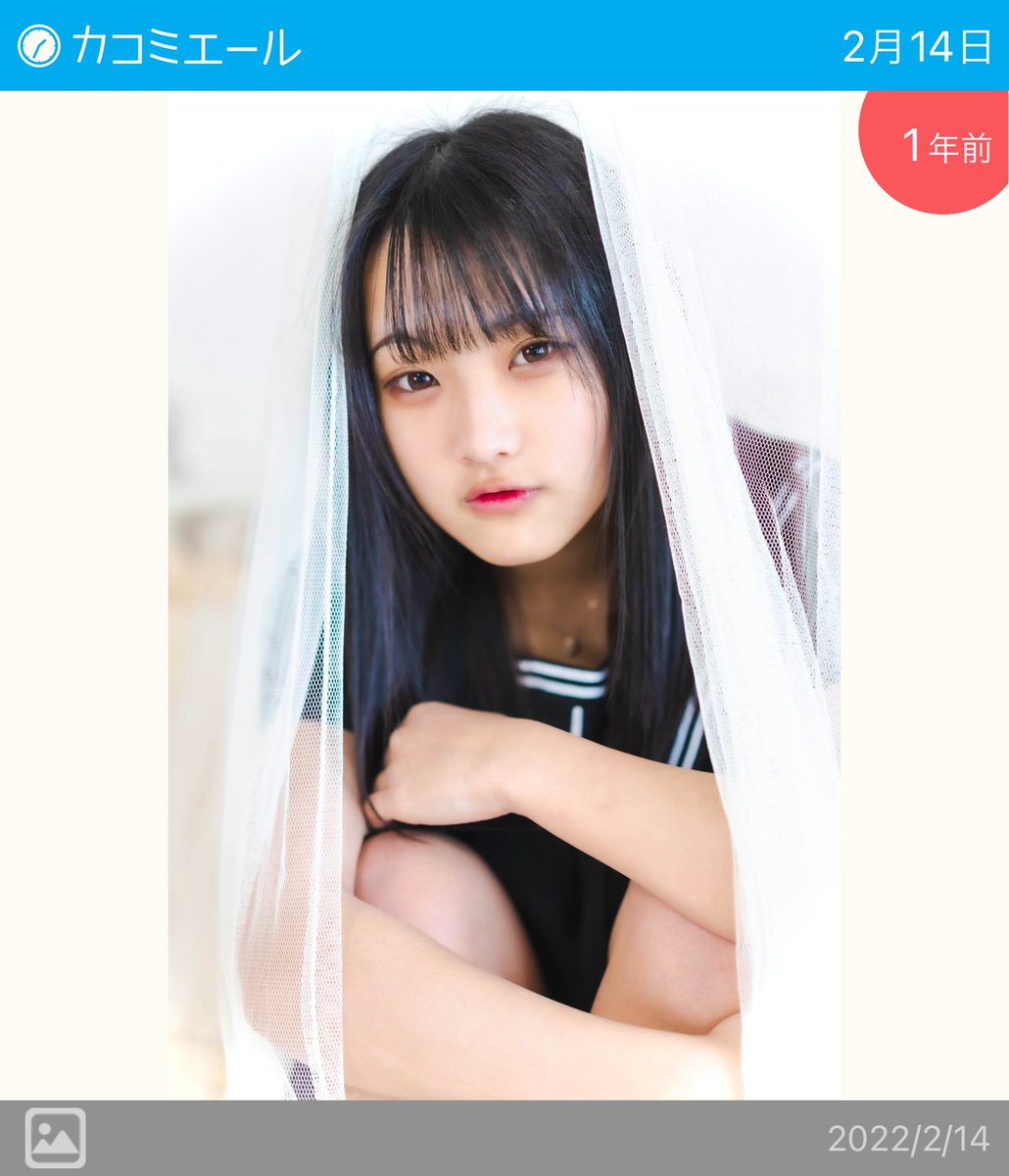 どさんこ39😺 on Twitter: "#カコミエール https://goo.gl/3dgTcI https://p38fn.app.goo.gl/u9DC"