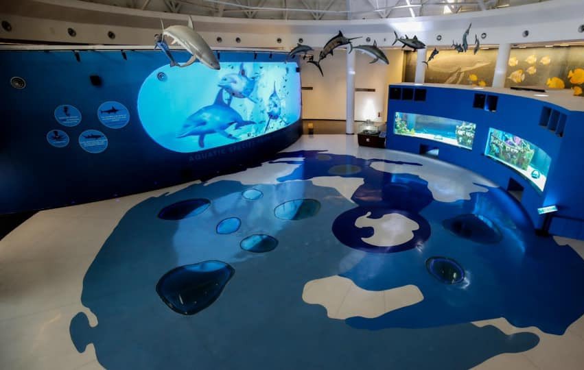 Gujarat Science City on Twitter: "ઍક્વેટીક ગેલેરીમાં પ્રવેશ કરતાં જ એટ્રીયમમાં સમુદ્રી વિશ્વ ...