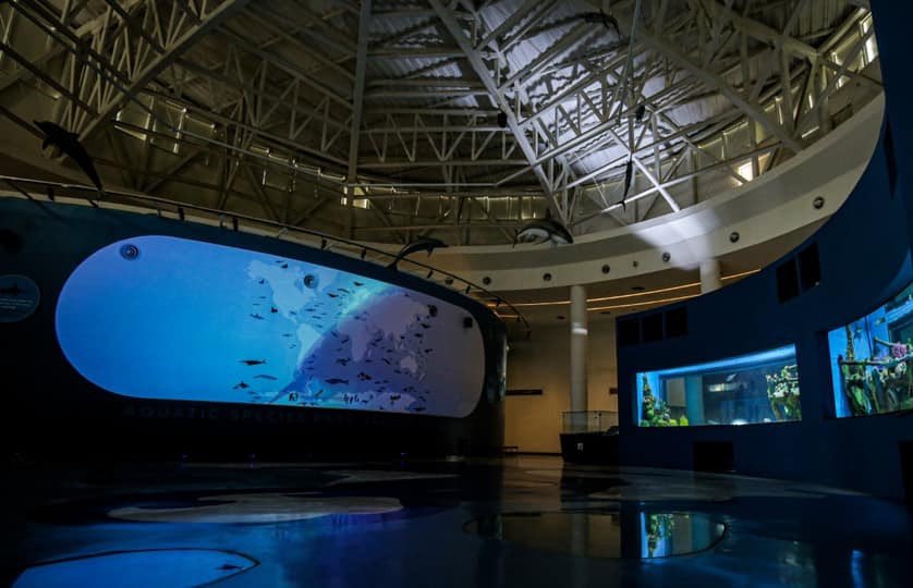 Gujarat Science City on Twitter: "ઍક્વેટીક ગેલેરીમાં પ્રવેશ કરતાં જ એટ્રીયમમાં સમુદ્રી વિશ્વ ...