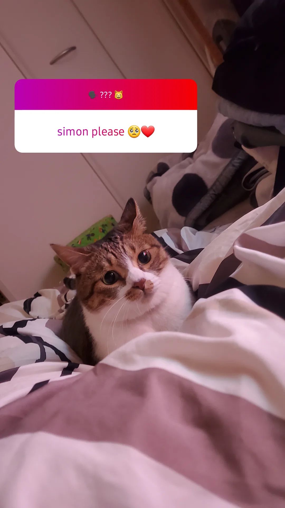miya archive 🐱 on Twitter: "Q: "simon please 🥺 ️" https://t.co/Mh6eBK51aJ" / Twitter