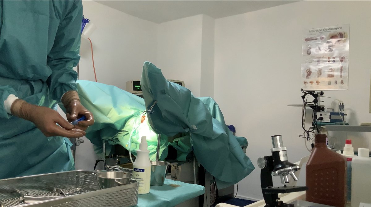 Medical-Fet-Team on Twitter: