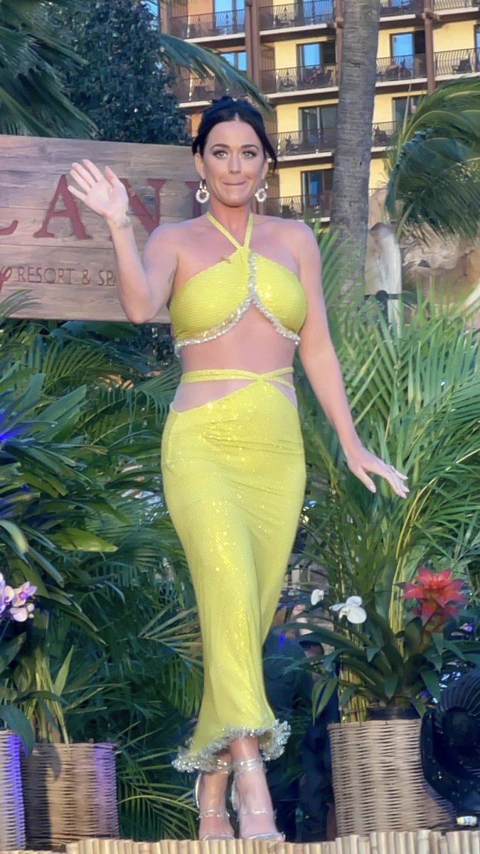Katy Perry Stats On Twitter Katy Perry Was Seen Earlier Today In Hawaii