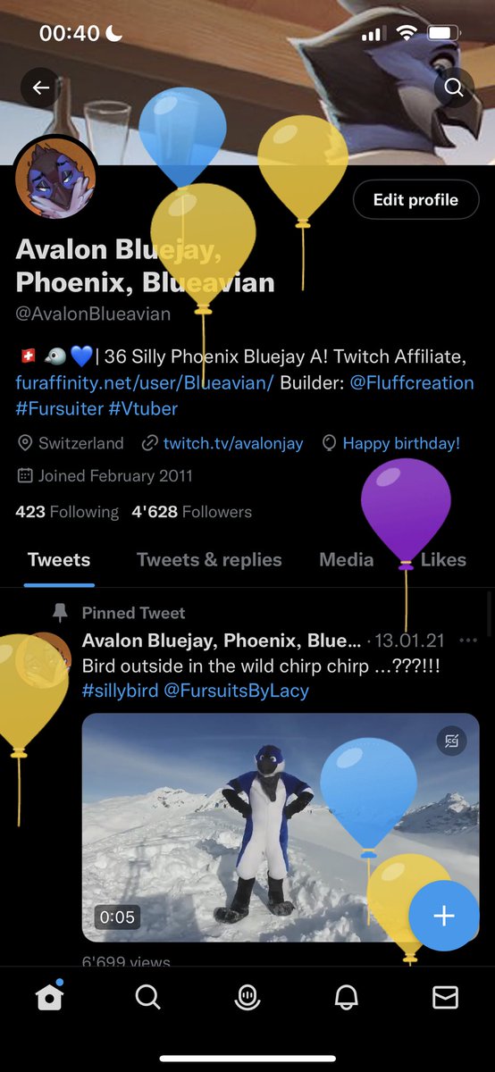Avalon Bluejay, Phoenix, Blueavian on Twitter: "A!!! Balloons!!"