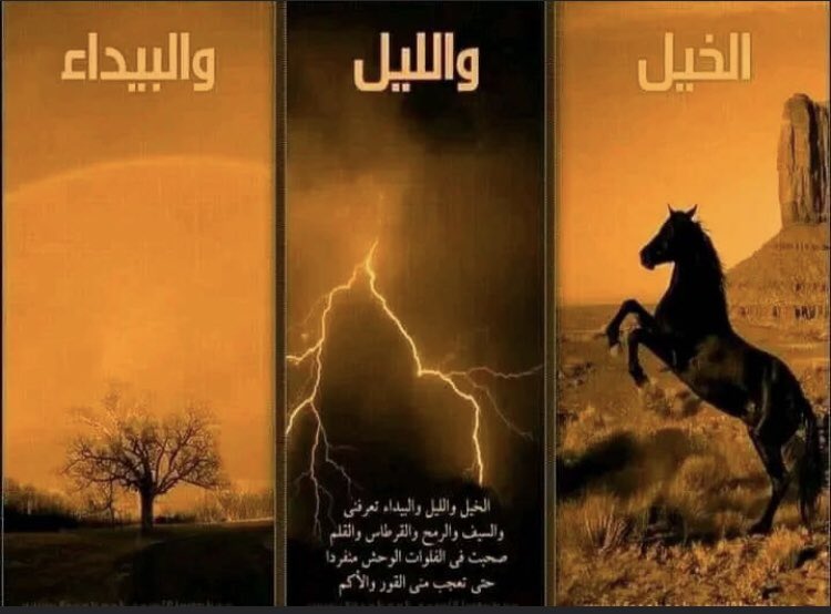 المتنبي الملقب بـ شاعر العرب هو القائل مصائبُ قومٍ عندَ