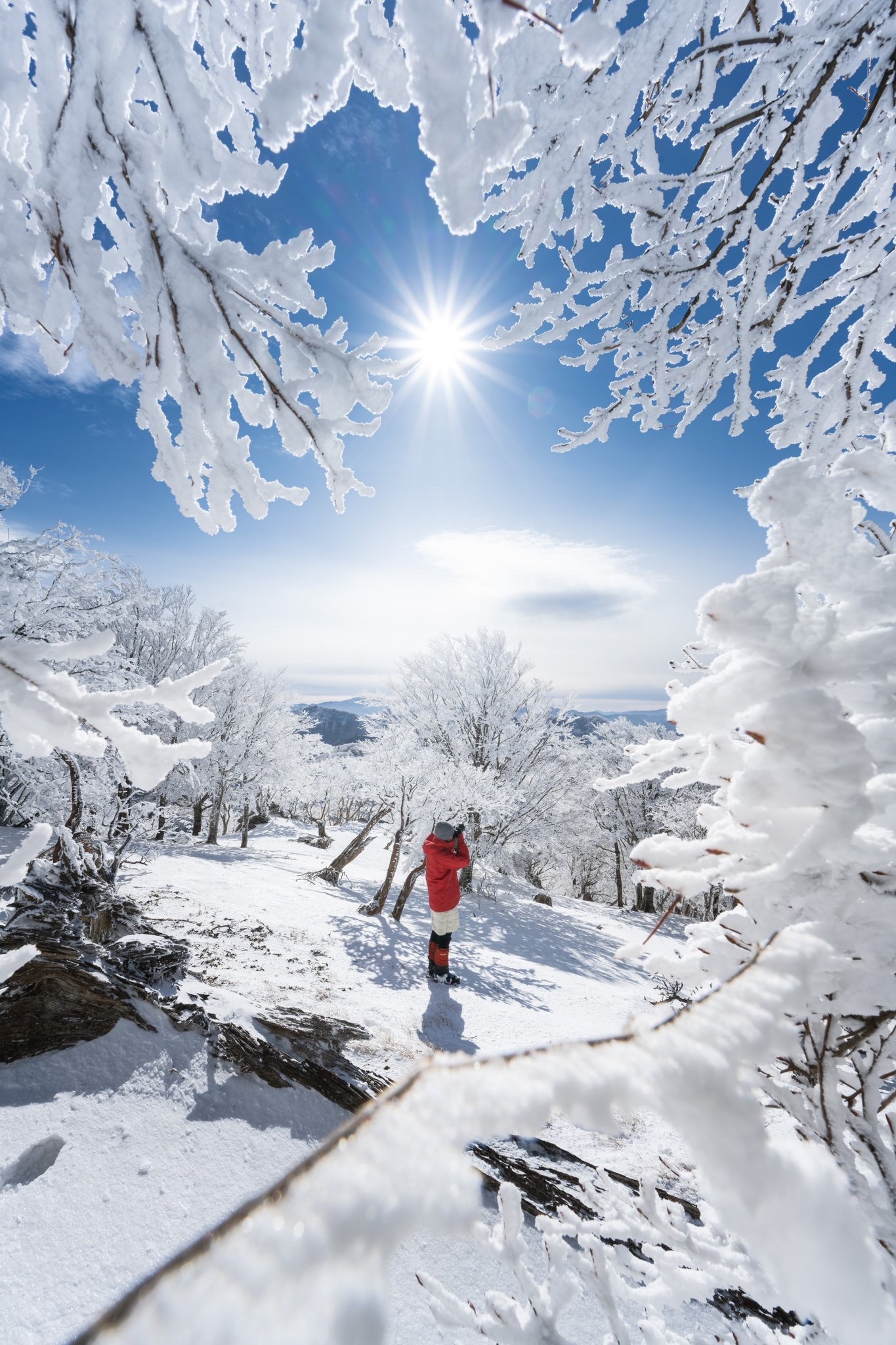 関岡 大晃 | Hiroaki Sekioka💮 on Twitter: "雪山で見た青空霧氷が最高でした https://t.co/aUowb35dxR" / Twitter