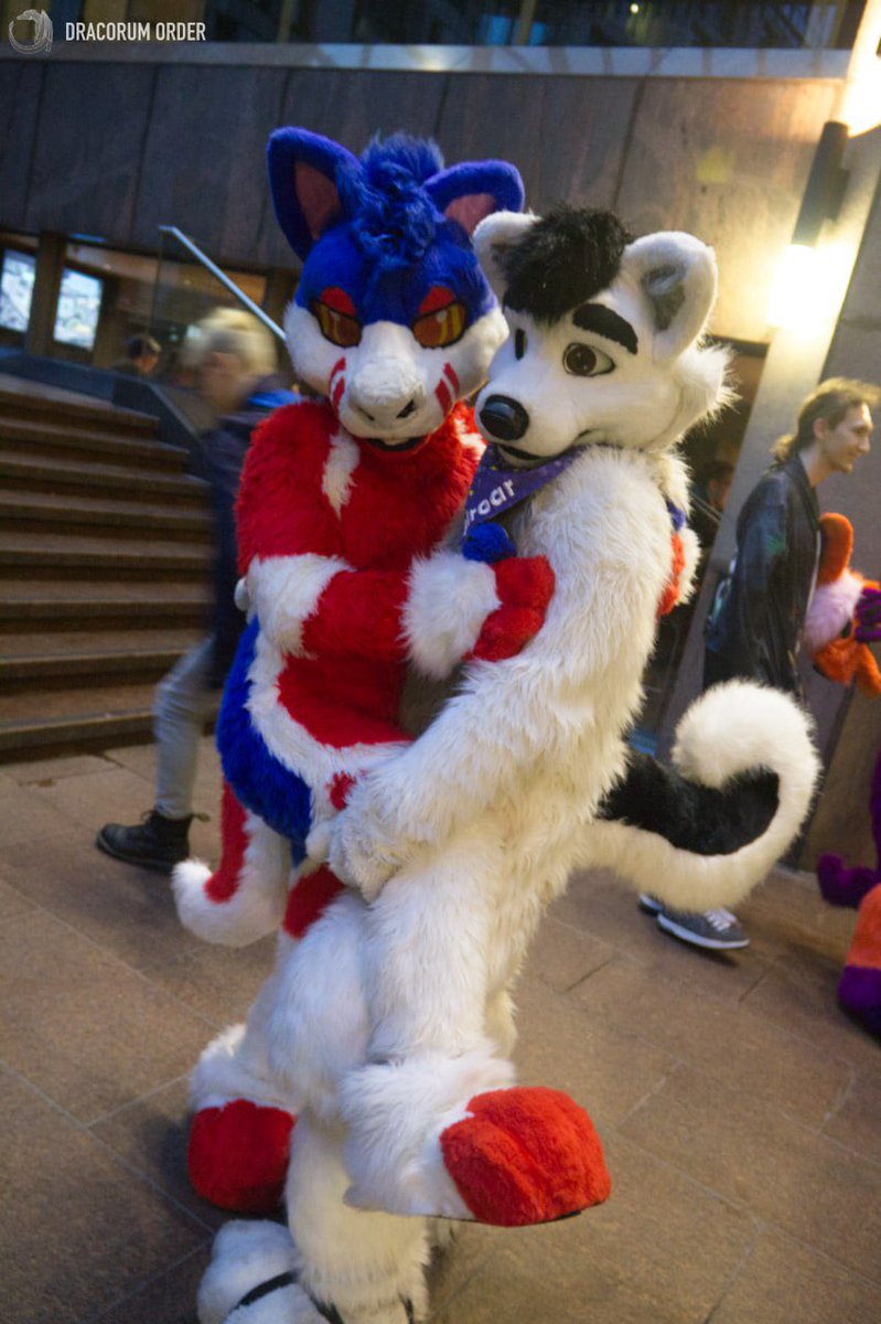 Dracorum Order 🧧 on Twitter: "Holding on for deer life! It’s a short ...