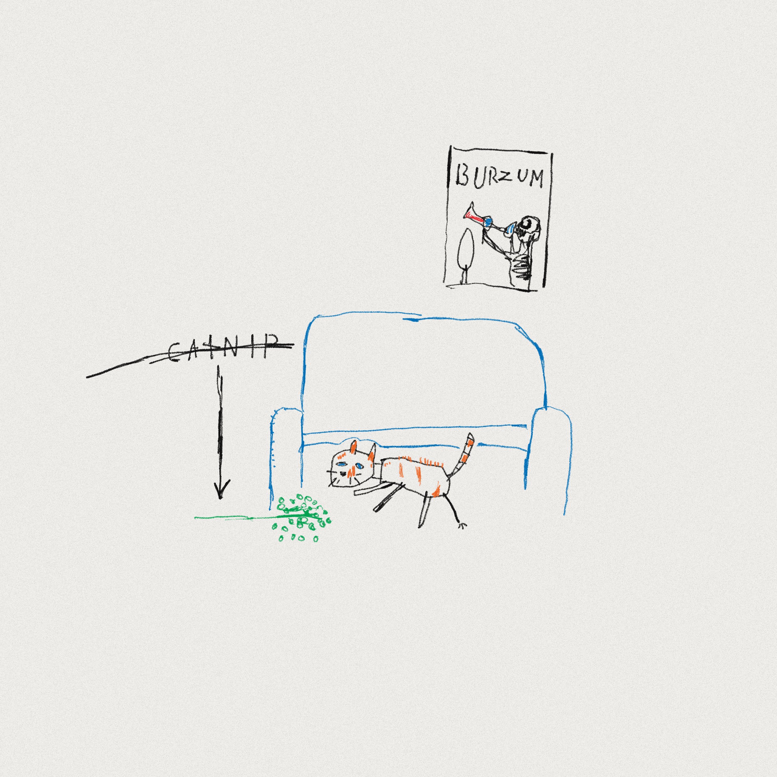 Freedumb (@Freedumb59) / Twitter