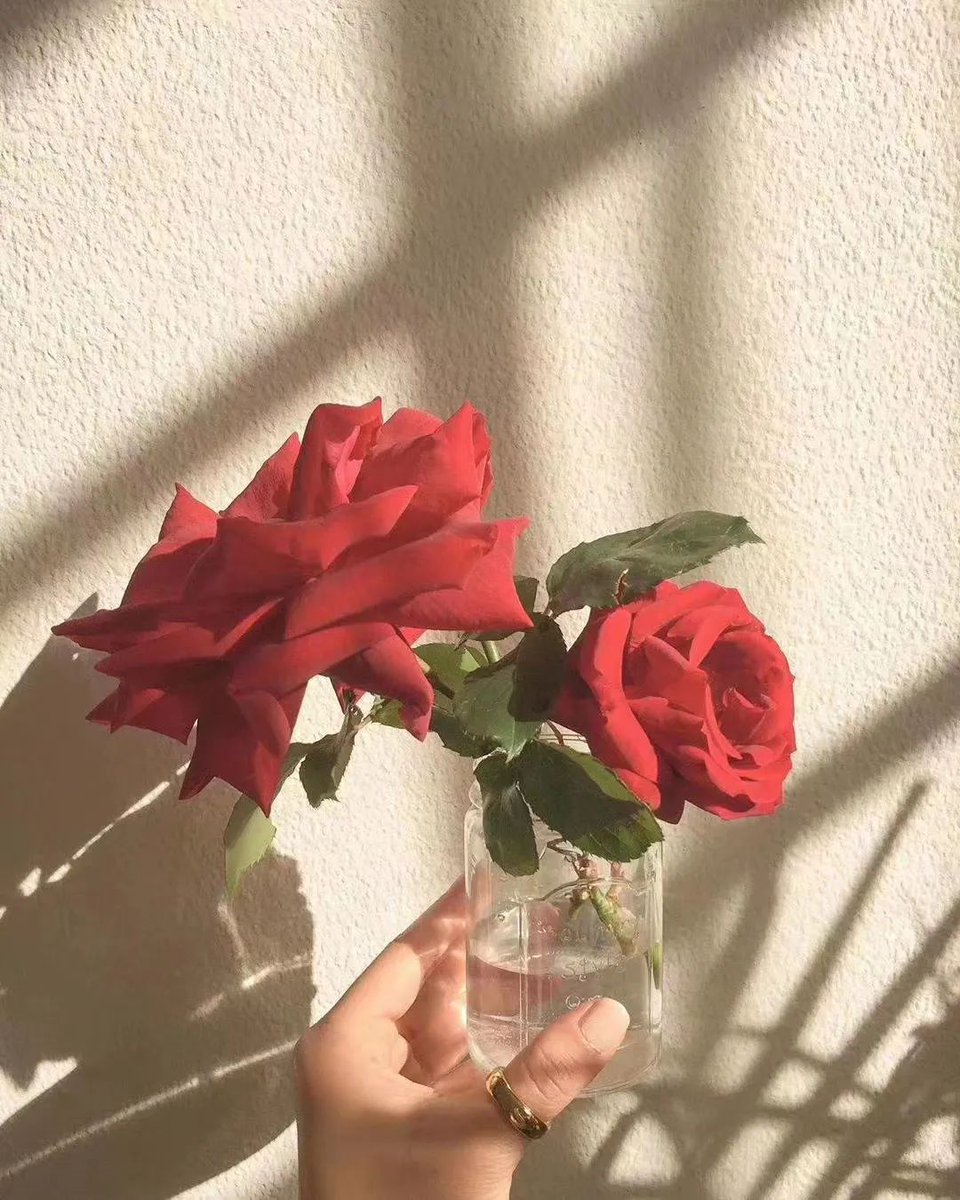 Chunyu 春雨 on Twitter: "RT @Chunyu_China: 心有所念有所系，才有方向，才不孤独。愿你我的人生里，一直有个人在，充实而饱满。"