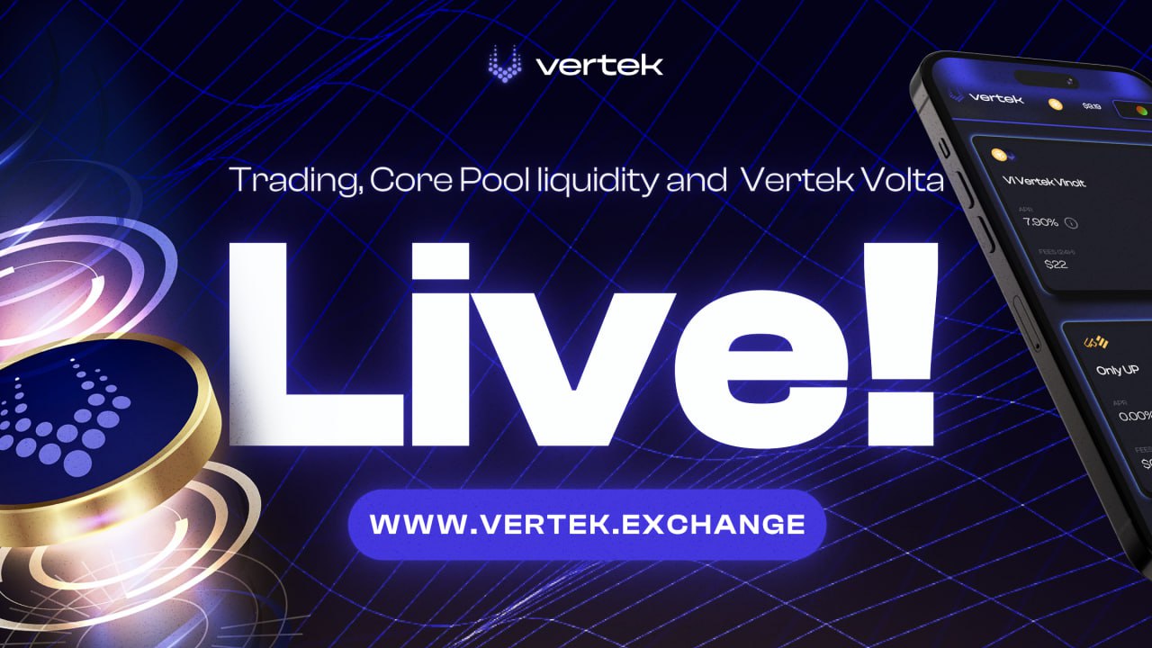 Bscdaily On Twitter 📢 Vertek Dex Has Just Appeared On Bnbchain