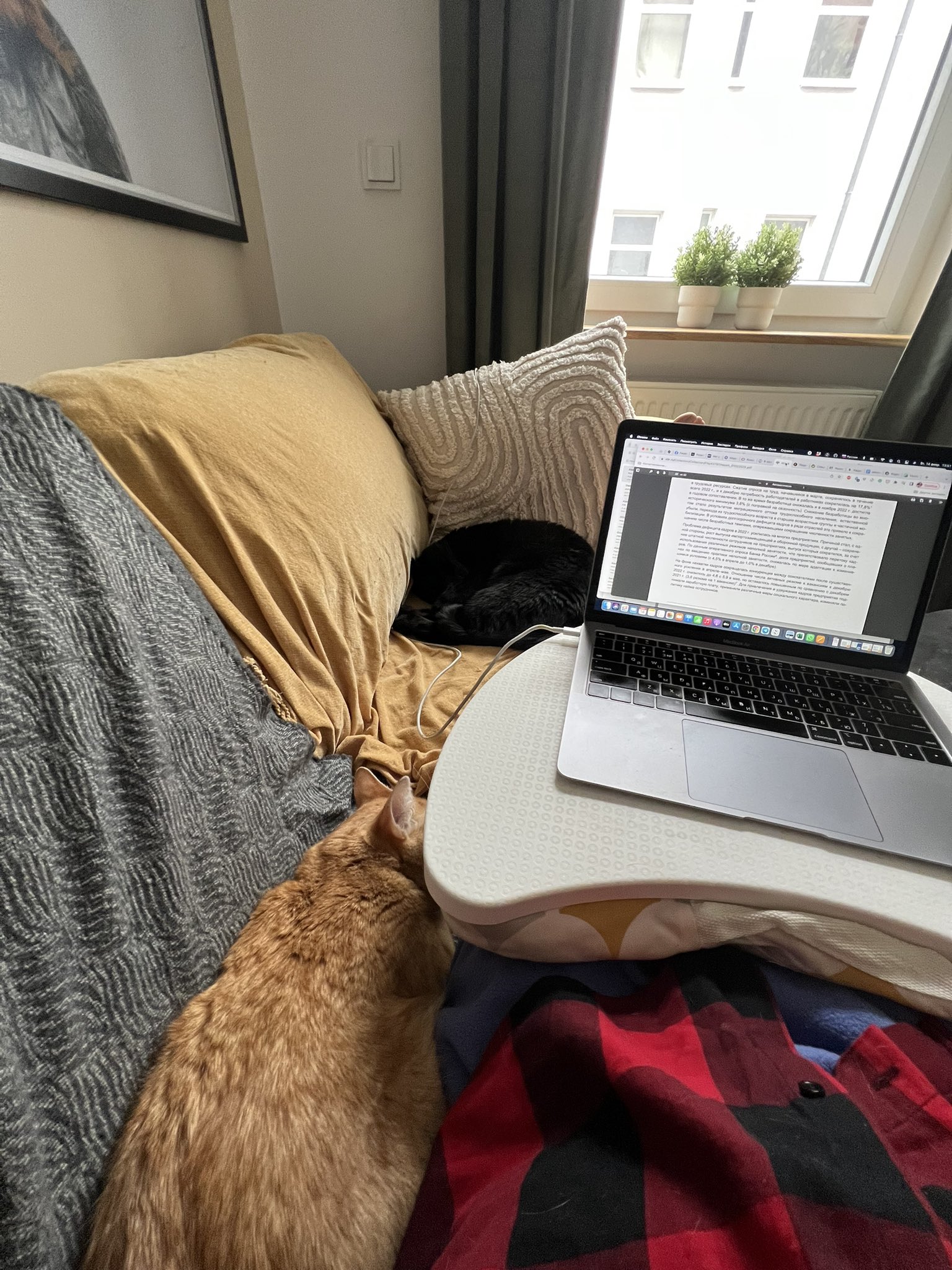 Alexandra Prokopenko (@amenka) / Twitter