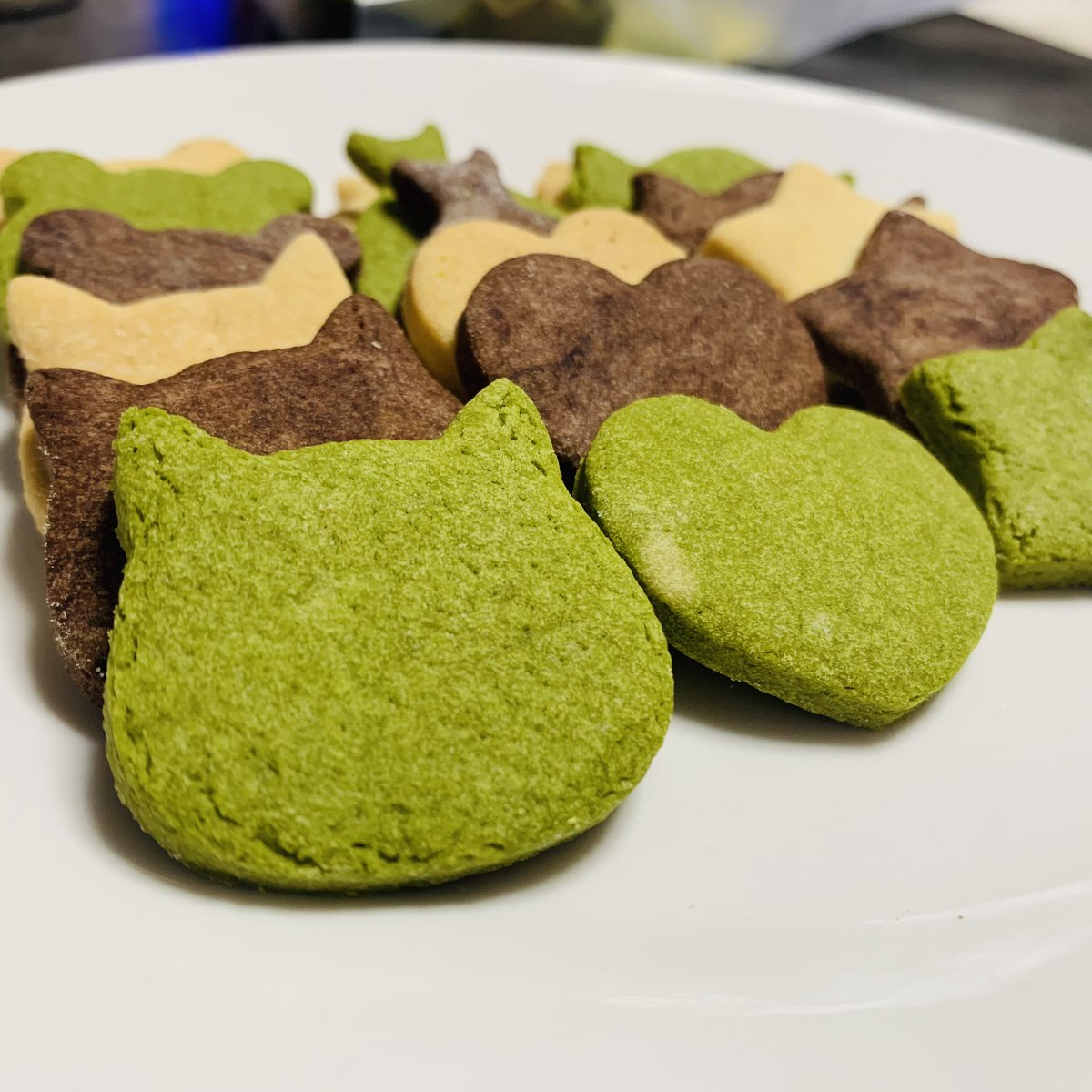 【ダイソー】2/14 100均パトロール戦利品まとめ♡韓国っぽコスメ新商品登場！ | Jocee@最新ニュース