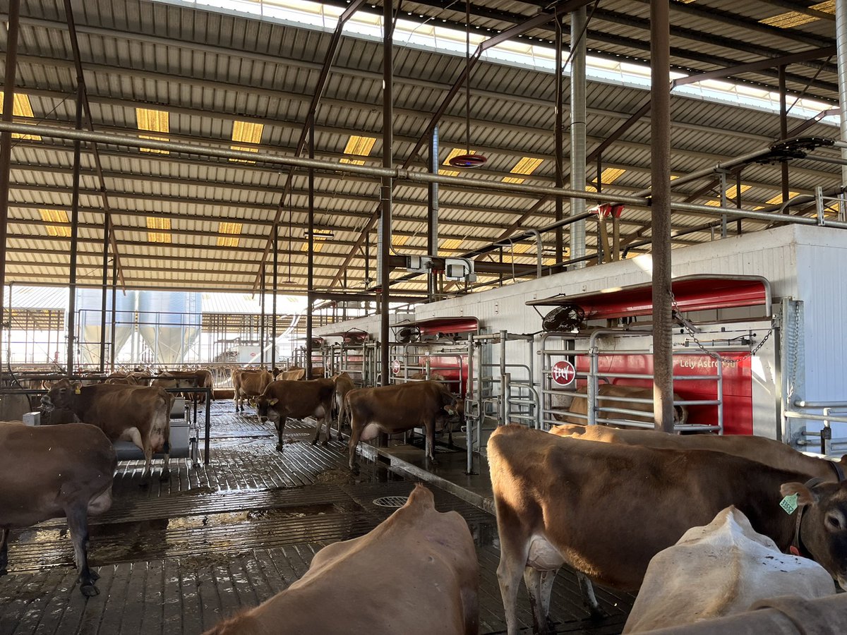 Progressive Dairy Operators on Twitter: "Day 2- stop 1. County Line. 1050 cow Jersey herd ...