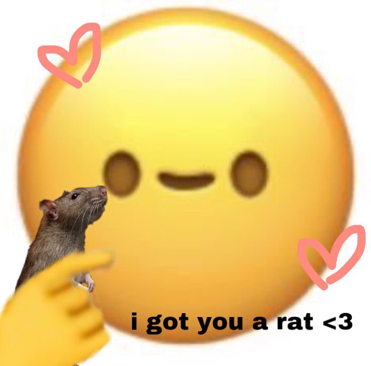 Rats On Twitter rats-on-twitter