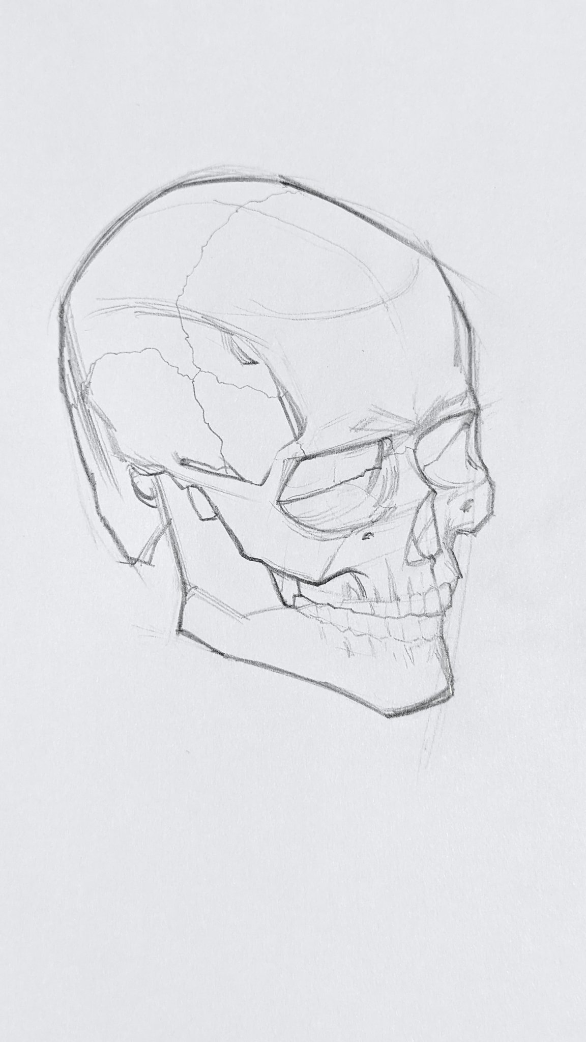 Human Skull Line Drawing