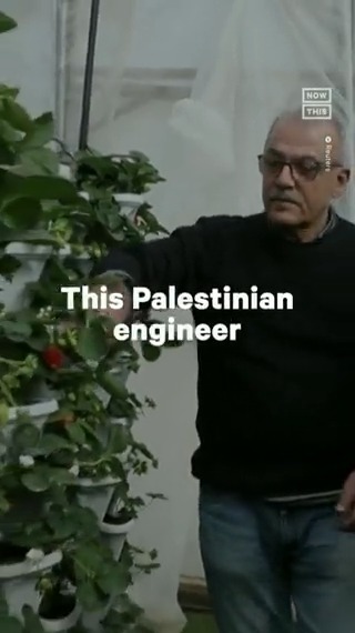 This Palestinian engineer is growing crops vertically as an innovative ...