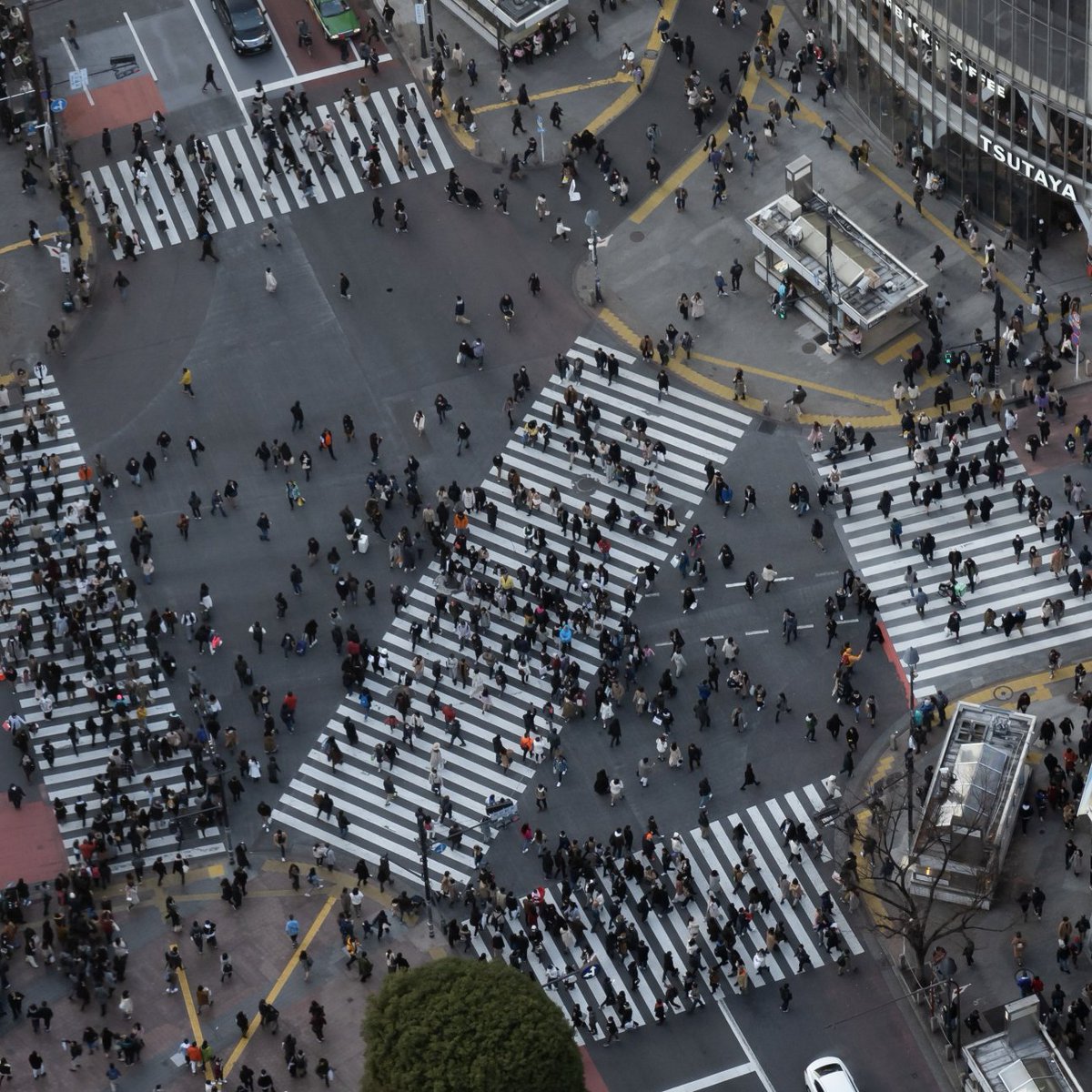 AI-generated street transformations on Twitter: "Shibuya Crossing (Tokyo, Japan)"