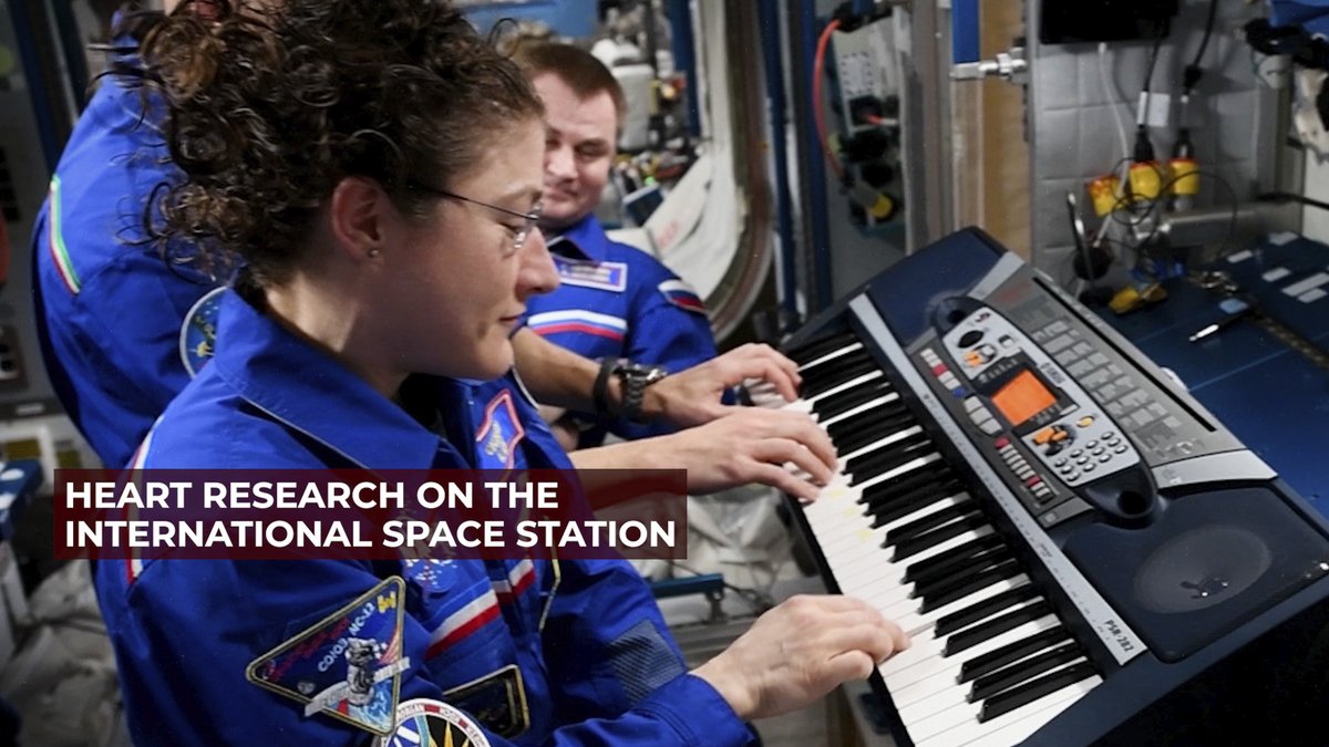 Michael G. Cooper 🇬🇧 🇲🇽 on Twitter: "RT @ISS_Research: Our hearts beat for science! 🌹 ️ February ...