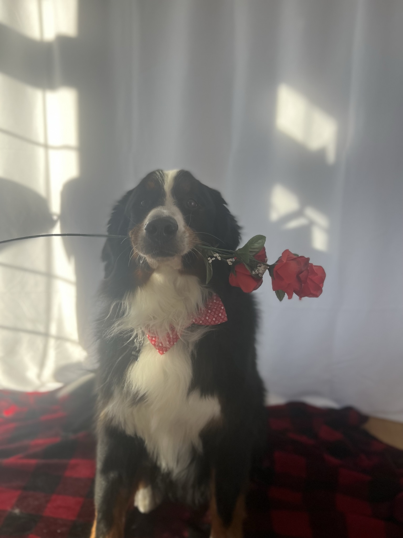 Bunsen and BEAKER on Twitter: "HEY! Do you have a HOT DATE TONIGHT? We have some pick up lines ...