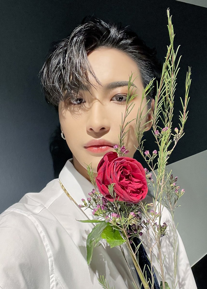 Histori⩜⃝occult⩜⃝shop Paris D1-D2 on Twitter: "RT @JaneBremer: Seonghwa sent me these flowers 🥰"