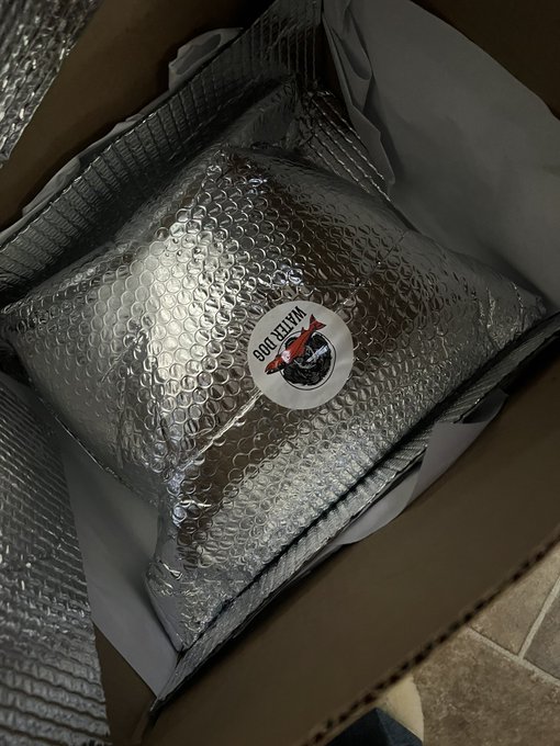 TW Pornstars - Fmottrn. Pictures and videos from Twitter. Page 3