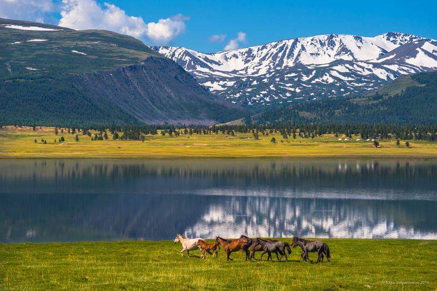 Гэрэл On Twitter Rt Munkhtuulshagd4 Өглөөний мэнд Жиргээ 🥰🥰