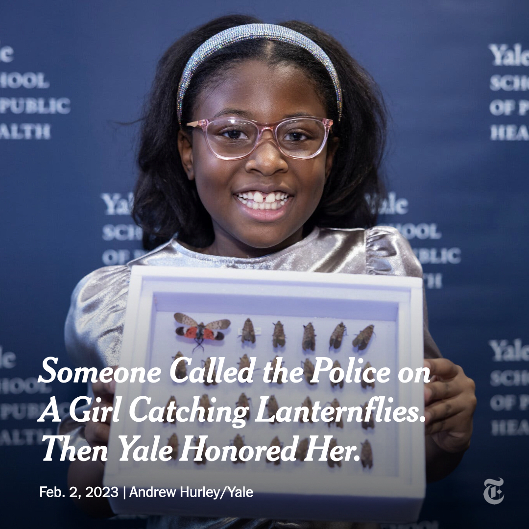 The New York Times On Twitter When Bobbi Wilson 9 Took It Upon