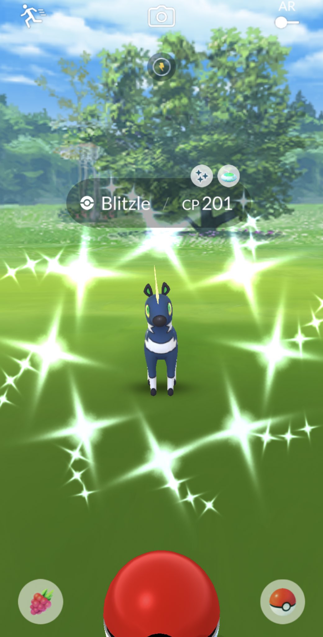 Shiny Blitzle