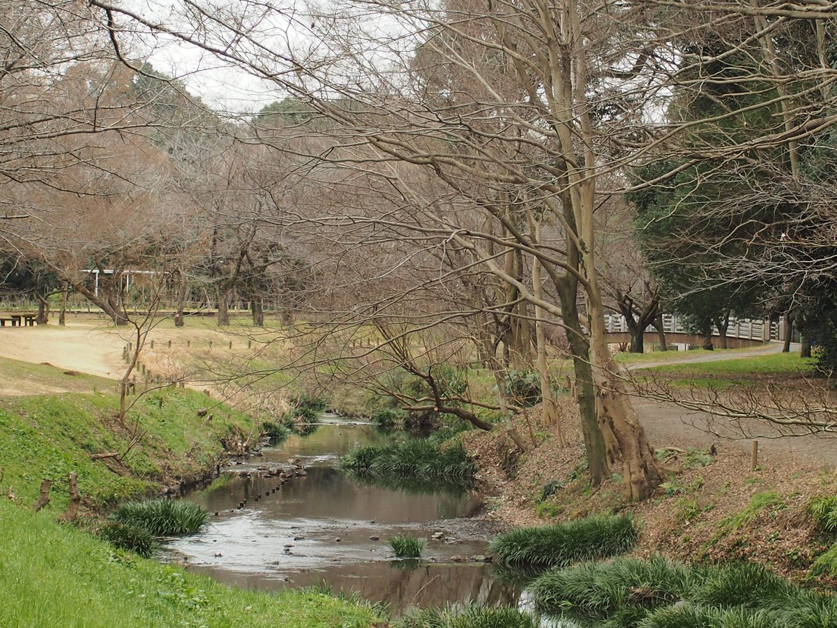 太田 雅之 on Twitter: "こんばんは。 YASHICA ML 28㎜F2.8(C/Y-M4/3)を購入して、撮影。 描写、凄い～🎵 #オールドレンズ #YASHICA ML 28 ...