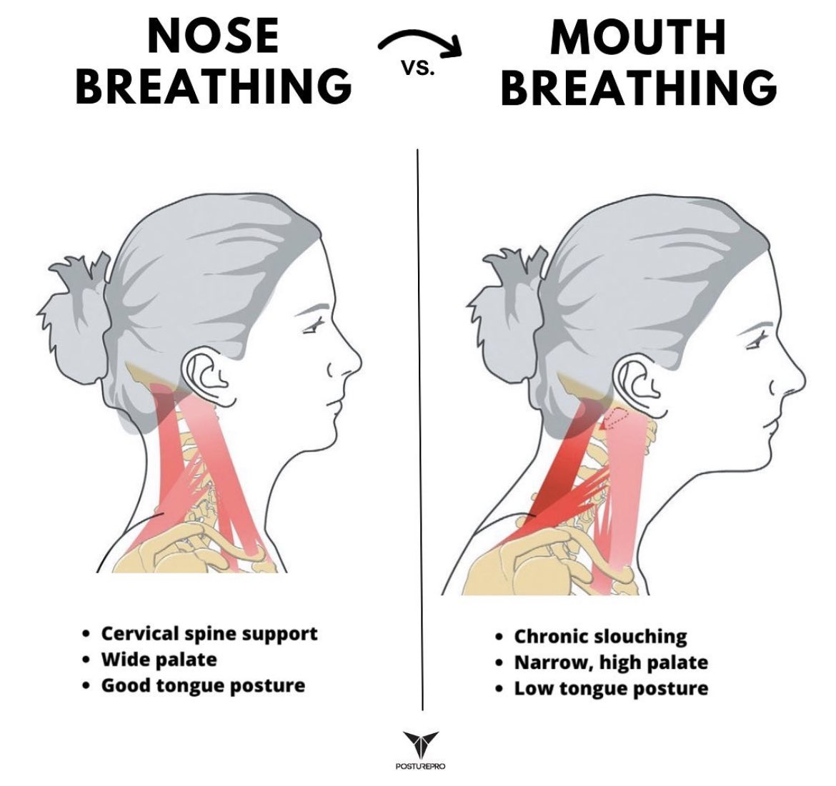 Nose Breathing Mouth Breathing And Why It Matters, 41% OFF Nose Breathing Mouth Breathing And Why It Matters, 41% OFF