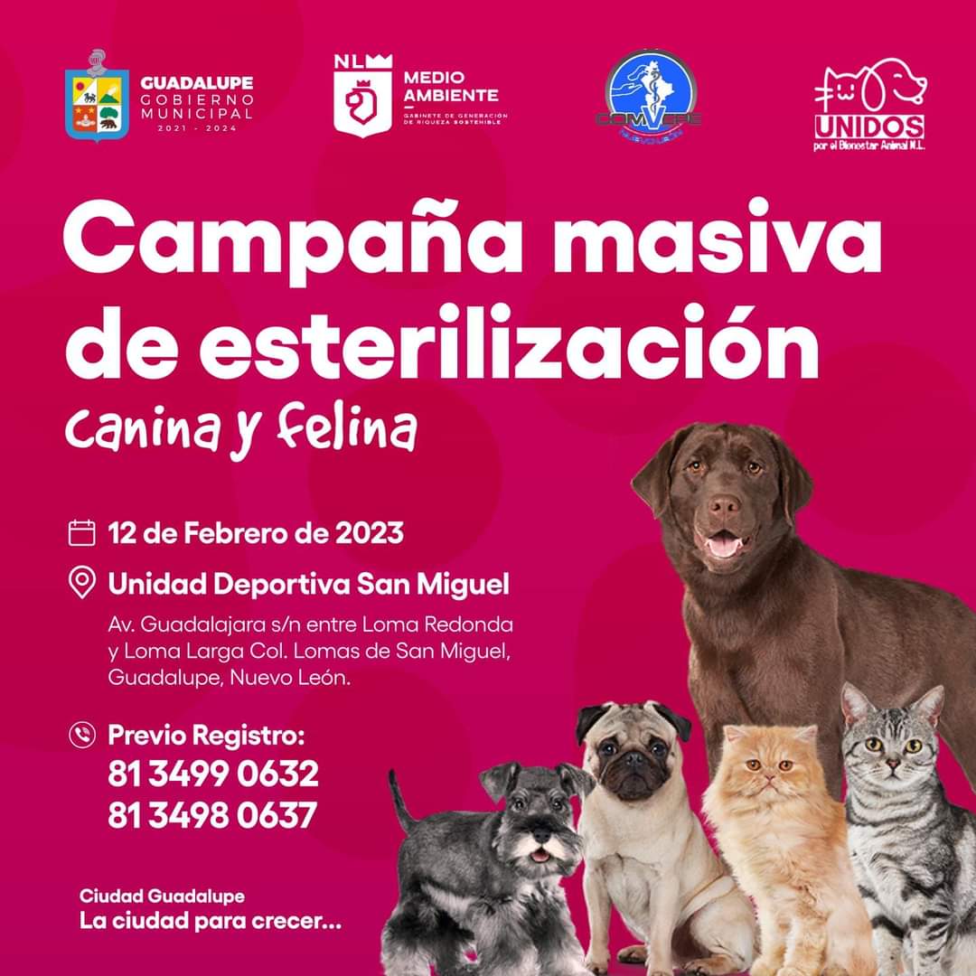 Municipio De Guadalupe On Twitter Los Esperamos Este Domingo 12 De