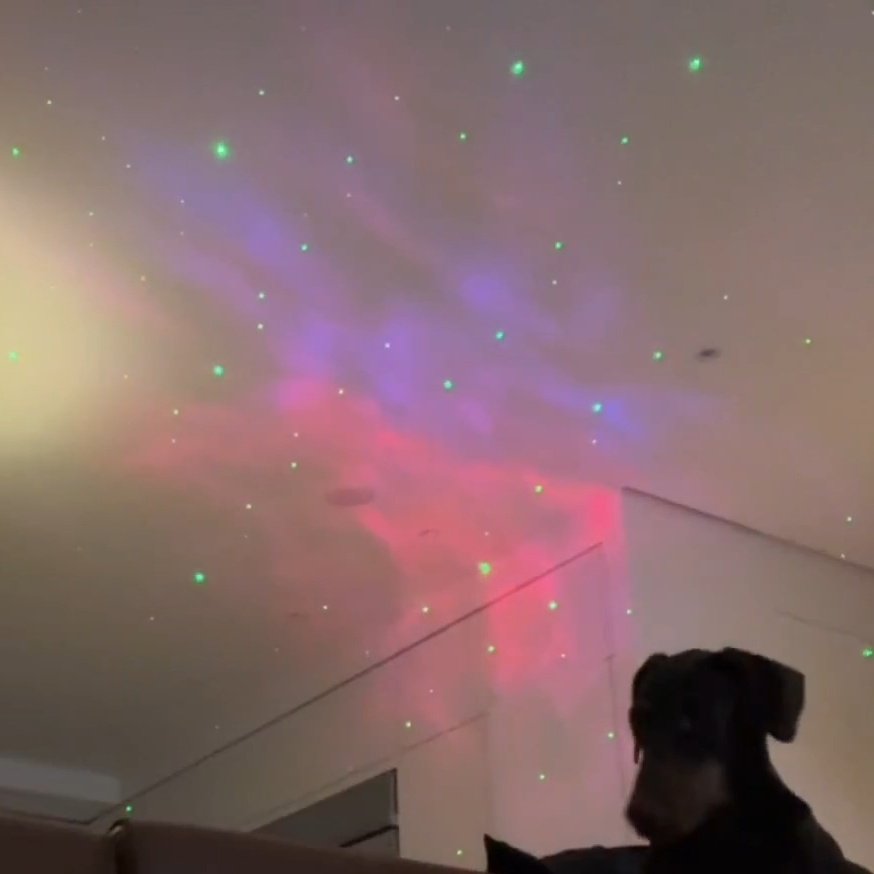 Bisexual Armys On Twitter Jungkooks Lil Bisexual Lights