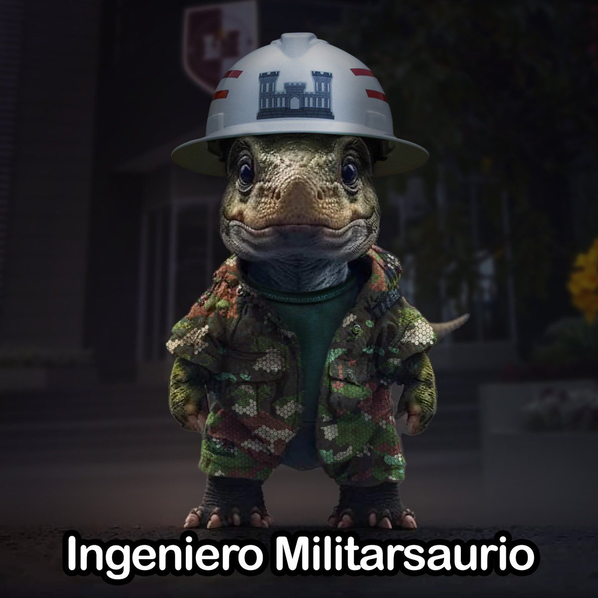 Sexta División del Ejército Nacional on Twitter: "RT @Ingenieros_EJC ...