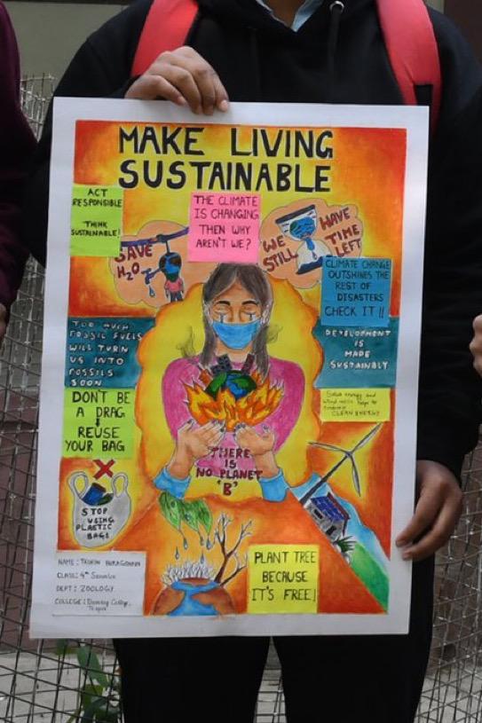 Sustainable Development Poster Making