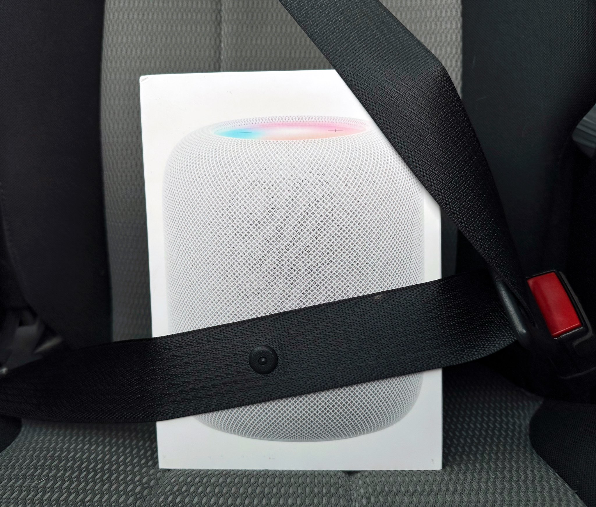 Basic Apple Guy on Twitter: "Safe & sound. https://t.co/SWQ7o3ULug" / Twitter