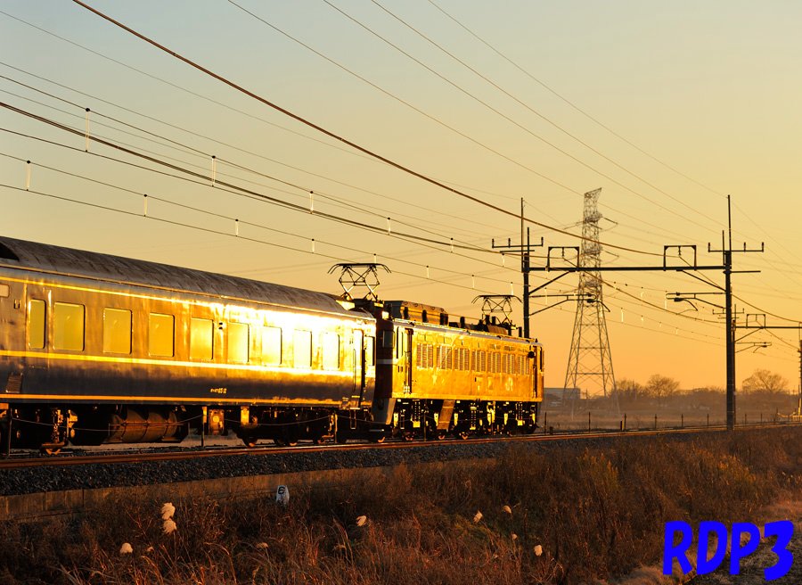 RDP3 on Twitter: "@kazu586189 @pikacyu652127 ギンギラギンで寝かせません🙄😳😍 https://t.co/ldHRCLZFb7" / Twitter