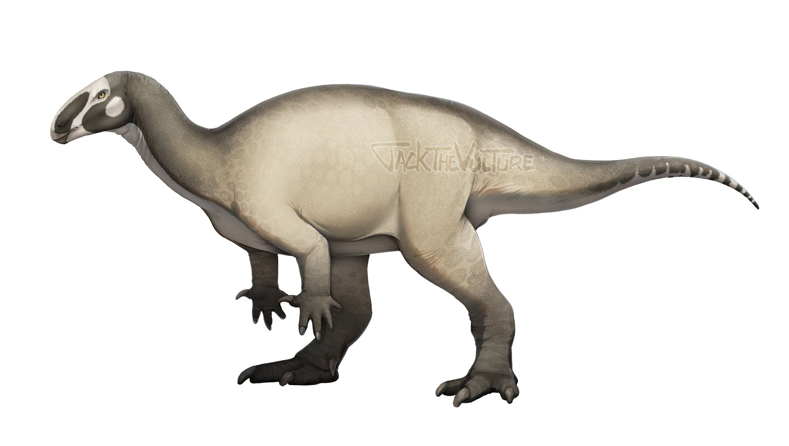 Camptosaurus