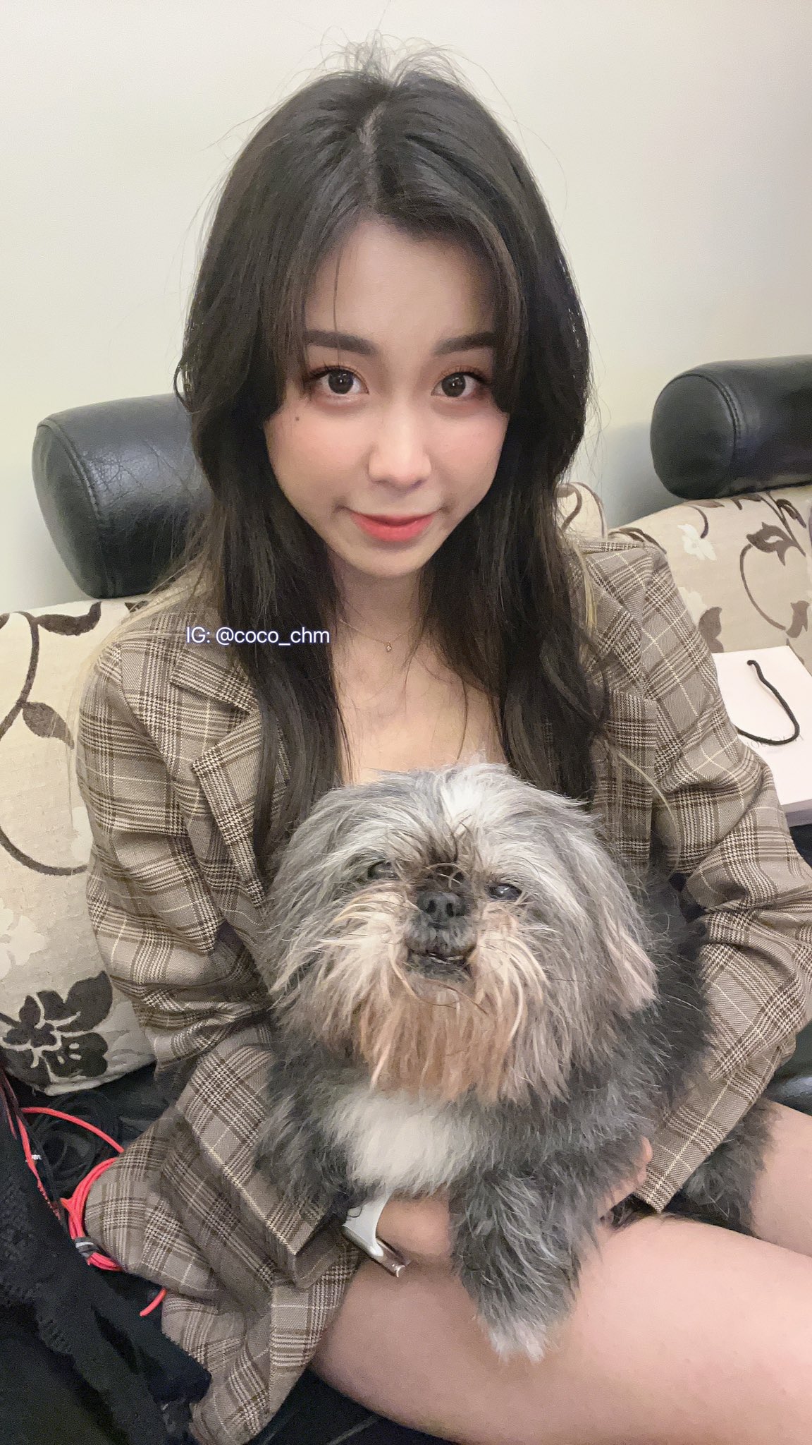 Chloe (可可) on Twitter: "This is Chewbacca. She lives in Hong Kong. 🐶🇭🇰 https://t.co/Mf0IdfFHq7 ...